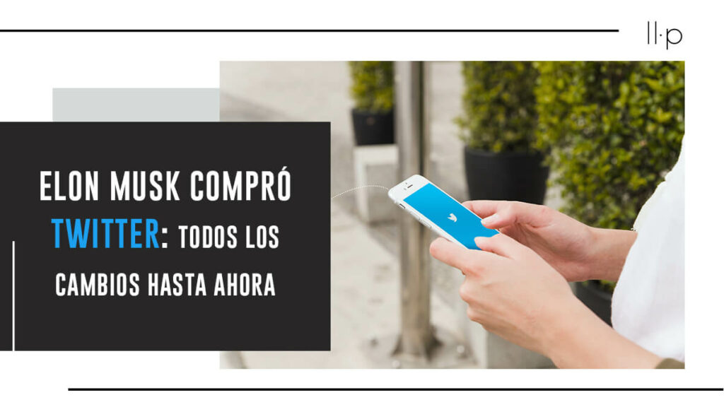 Elon Musk compró Twitter: todos los cambios hasta ahora - Llévelo Perfilado